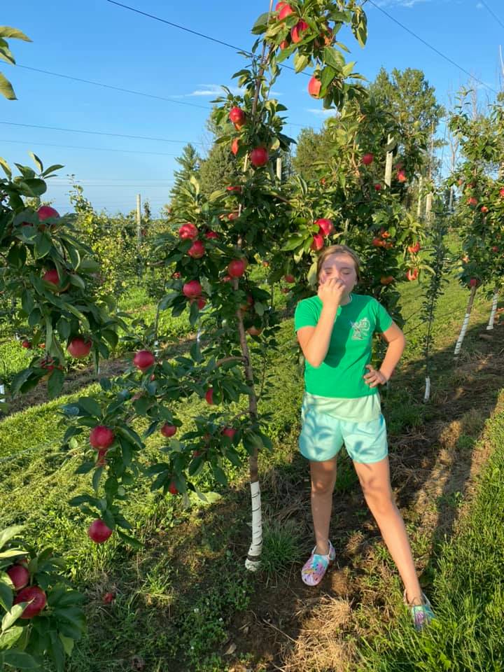 Lees Orchard - Orchard in Dilston - Website