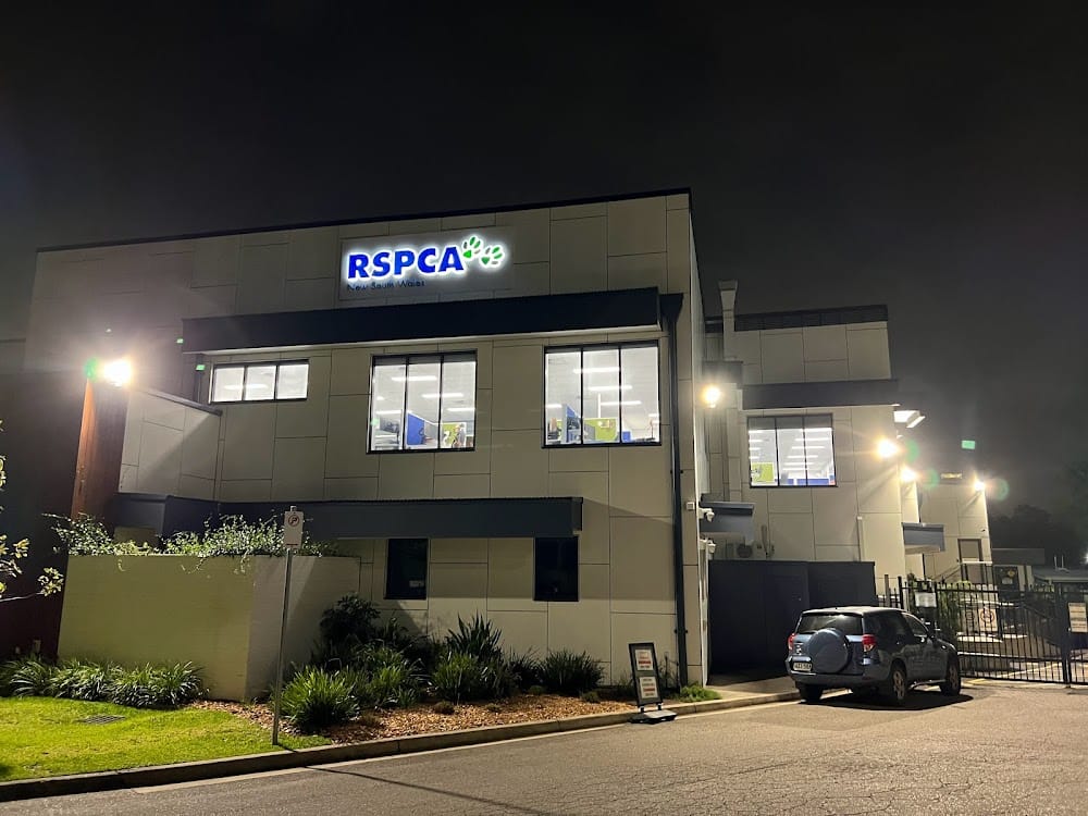 RSPCA NSW Sydney Adoption Centre - Animal shelter in Prescribed - Website