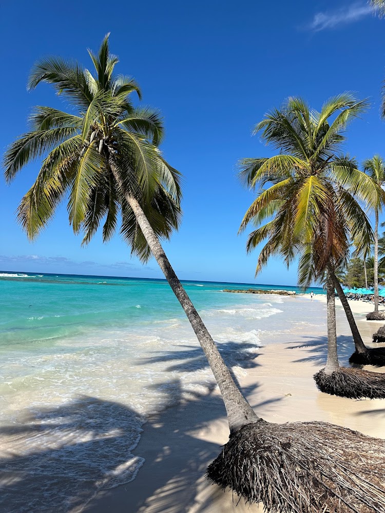 Barbados Yacht Club - Yacht club in Bridgetown - Website