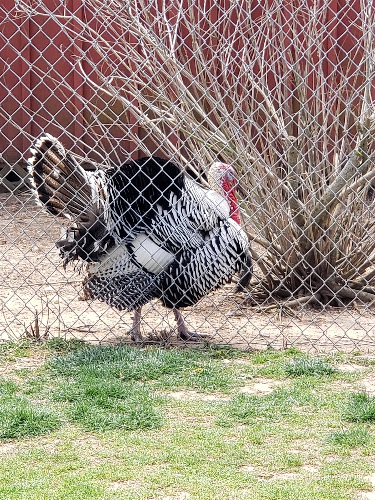 Rutledge-Wilson Farm Park - Park in Springfield - Website