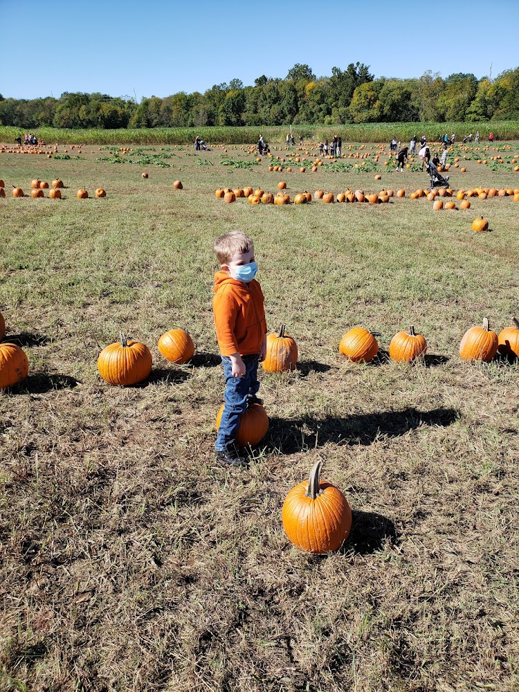 Rutledge-Wilson Farm Park - Park in Springfield - Website